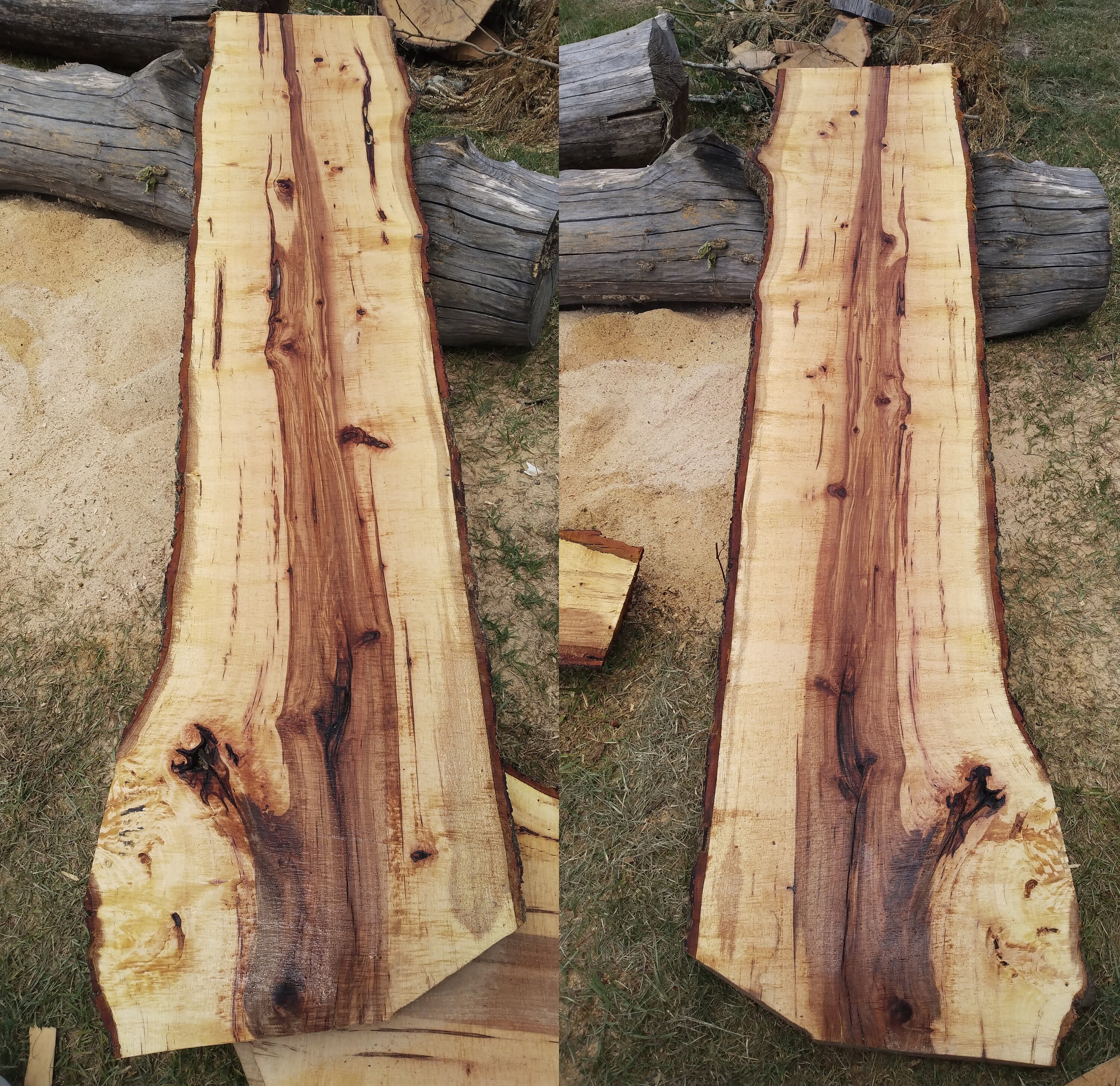 Live Edge Hickory Slabs Drying Required Green Slabs - Etsy