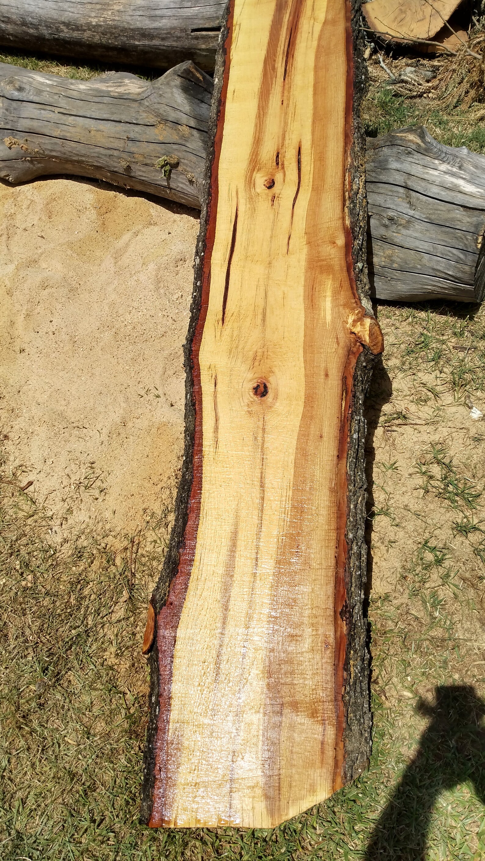 Live Edge Hickory Slabs Drying Required Green Slabs - Etsy