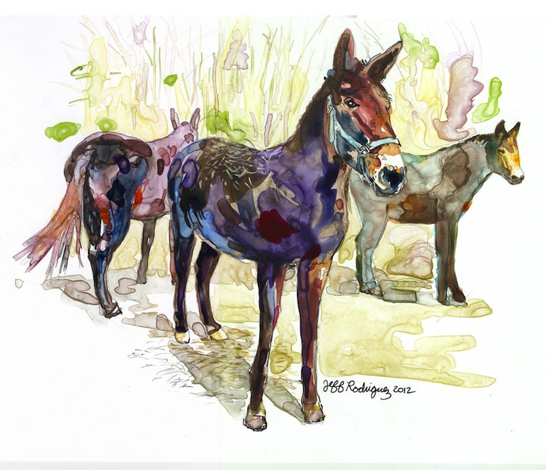 Watercolor Painting of Mules Print. - Etsy