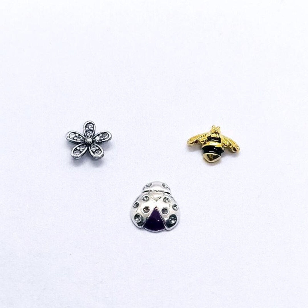 Pandora S.silver Bee Ladybug Flowers Petite Floating Locket Charms Set ...