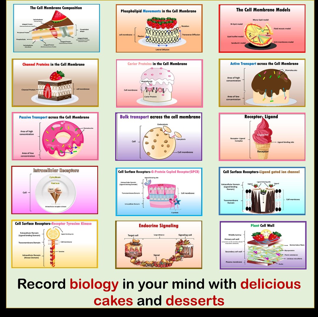 Biology Poster Set28 Postersscience Class Gallery Wall-digital Download ...
