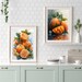 Orange Fruit Poster Printable Painting Kitchen Wall Art Instant ...
