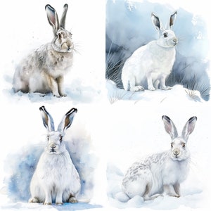43 Beautiful Snow Bunny Clipart, Card Making, Winter Animal ...