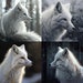 32 Arctic Fox Clipart, White Fox Illustration, Winter Animal Art ...