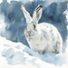 43 Beautiful Snow Bunny Clipart, Card Making, Winter Animal ...
