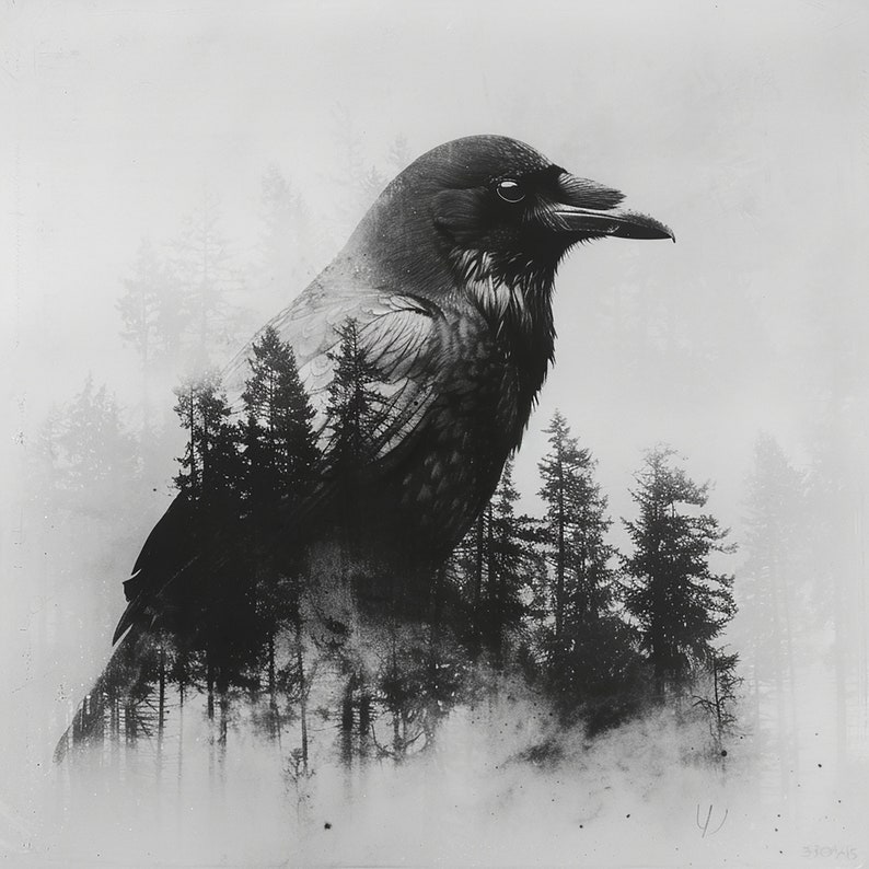 24 Raven Forest Double Exposure Clipart, Nature Birds Silhouette Art ...