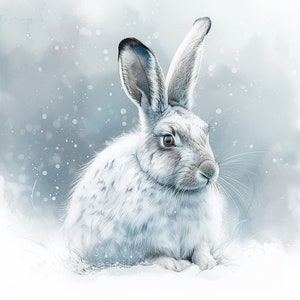 43 Beautiful Snow Bunny Clipart, Card Making, Winter Animal ...