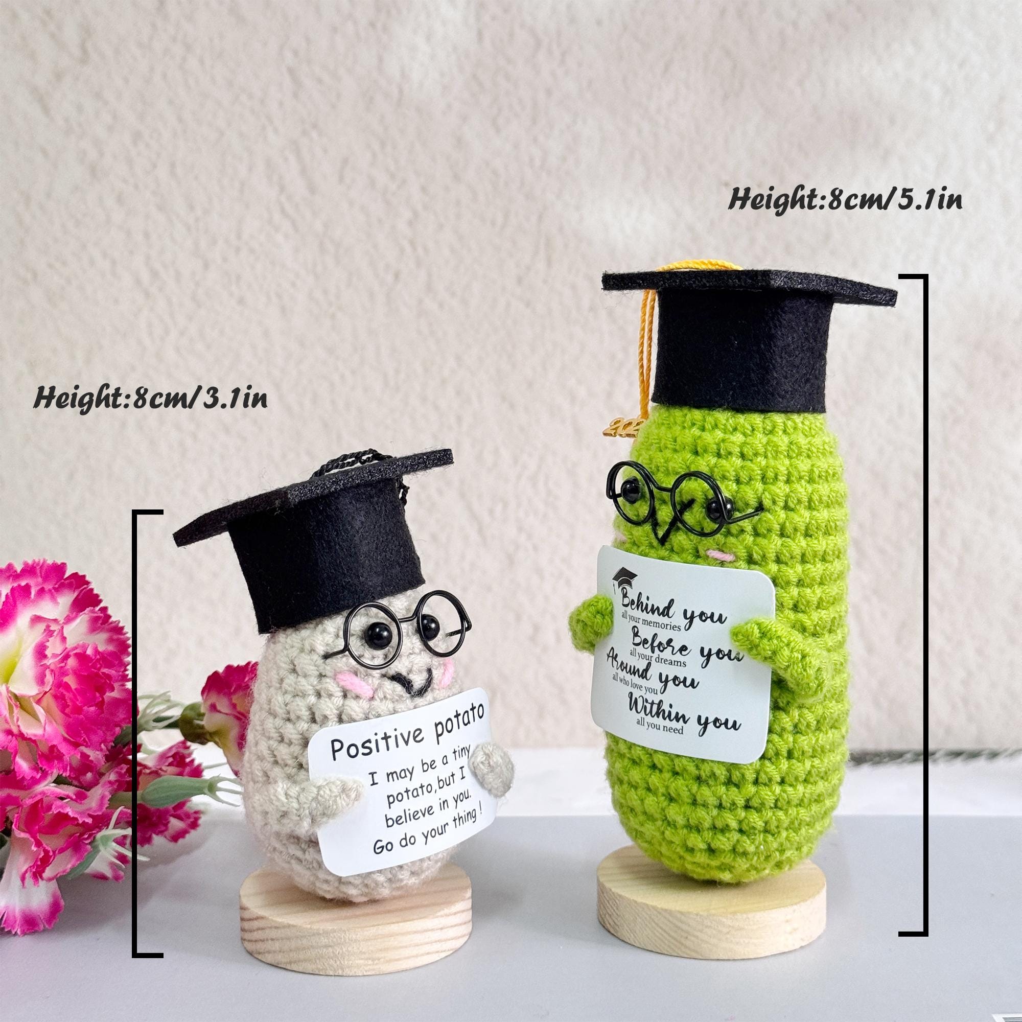 2026 Graduation Gift, Handmade Crochet Potato and Pickle With Tassel ...