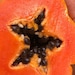 Red Lady Papaya Tree – Fast-growing Tropical Fruit Tree | Sweet, Juicy ...