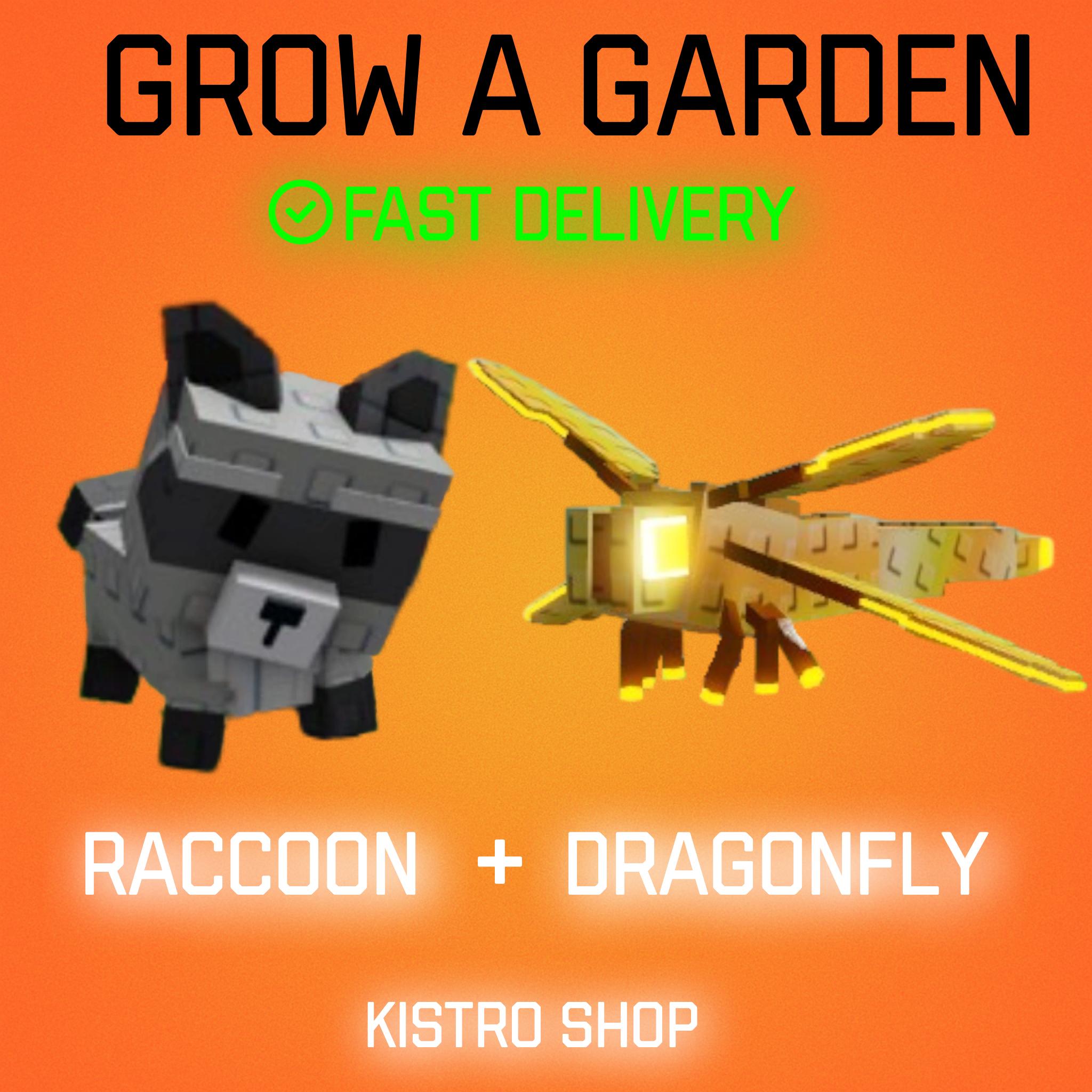 Raccoon + Dragonfly | Grow a Garden | OP DIVINE PET - Etsy
