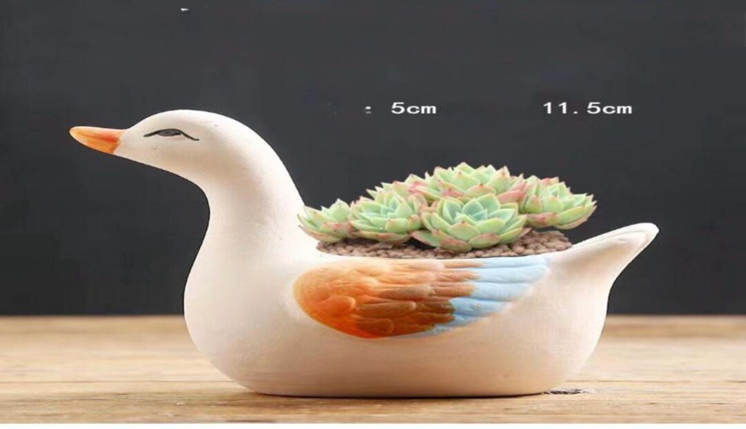 Cute Animal Shape Planters in Packs Available in Variations - Etsy