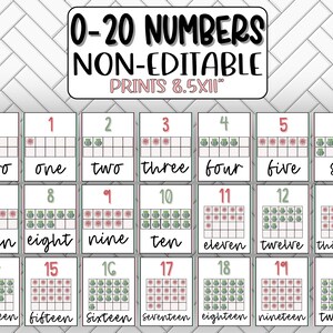 0-20 Number Chart Pink Cactus Classroom Decor Posters. Succulent ...