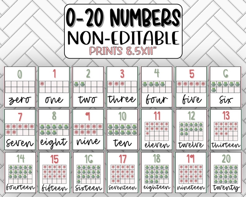 0-20 Number Chart Pink Cactus Classroom Decor Posters. Succulent ...