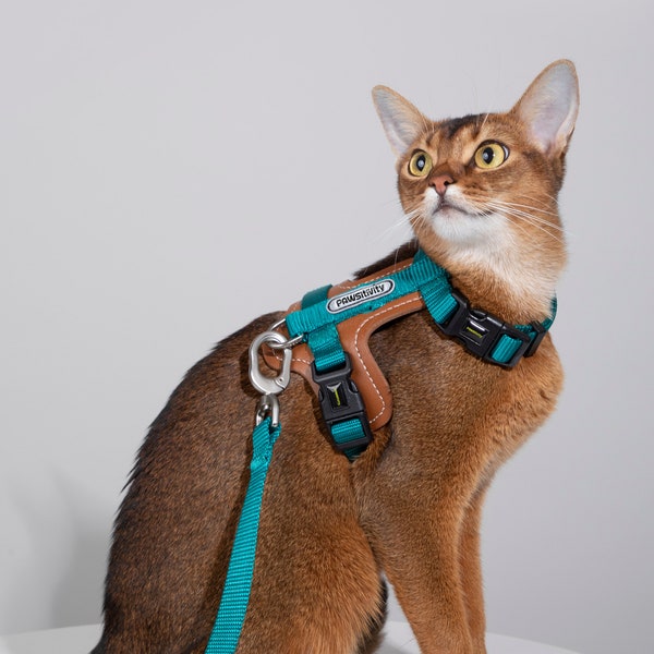 Cat Harness - Etsy