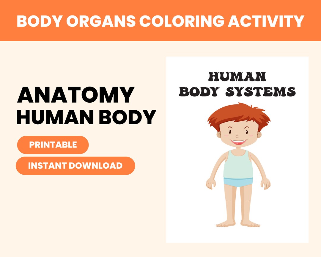 Anatomy Human Organ Body Coloring Activity Easy Print - Etsy