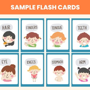 Human Body Flash Cards, Wall Art for Kids Ready-to-print - Etsy