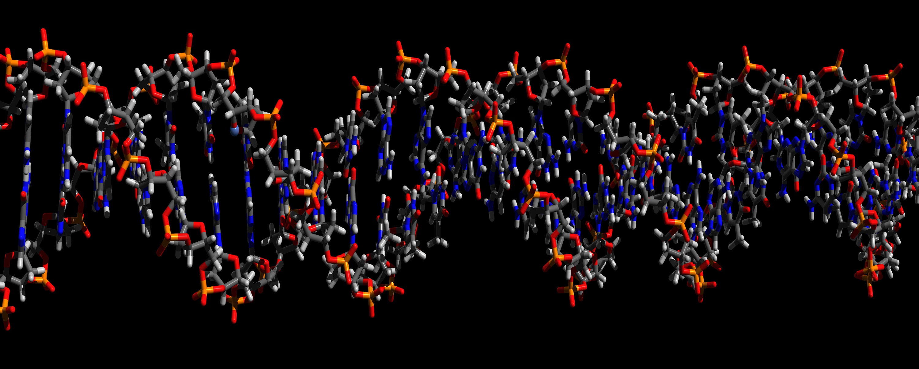 3D Rendering Illustration of a DNA Double Helix Structure Model ...