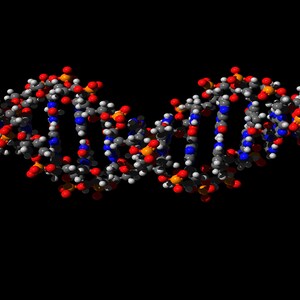 3D Rendering Illustration of a DNA Double Helix Structure Model ...