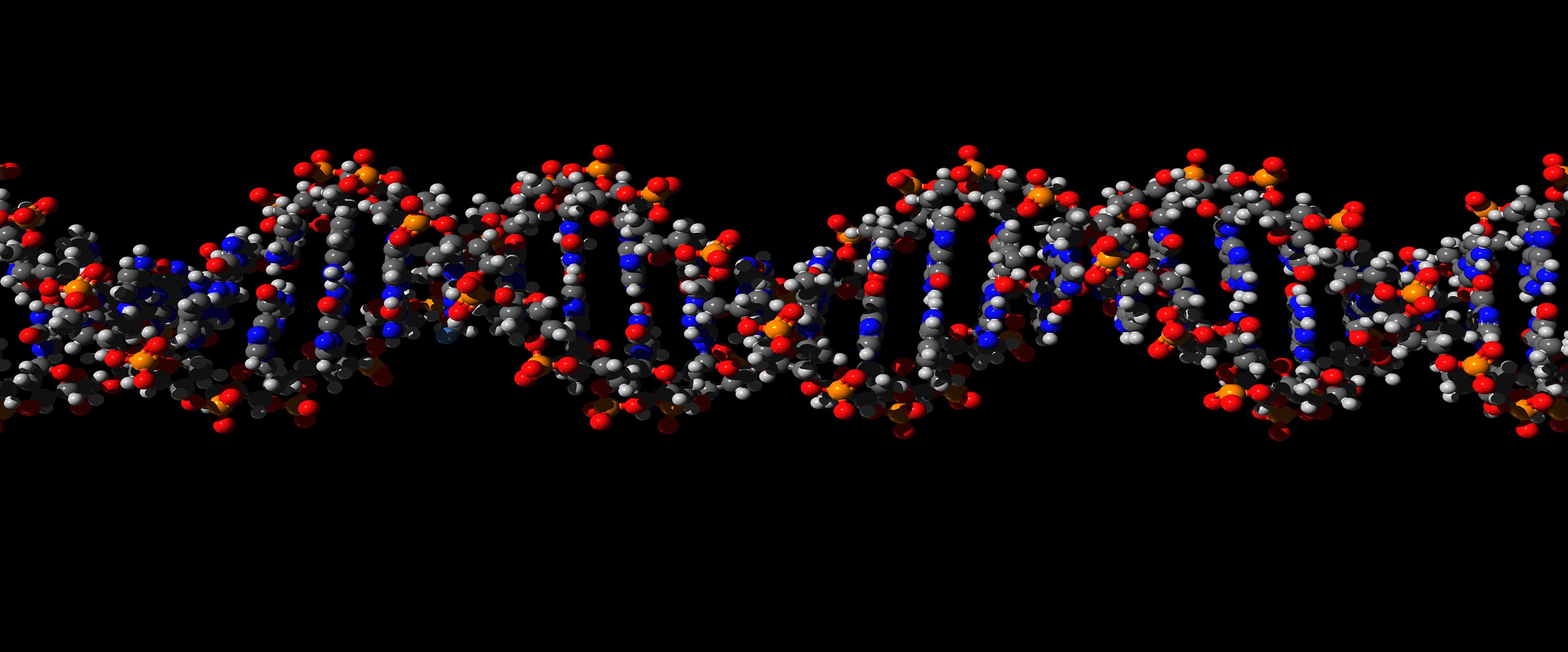3D Rendering Illustration of a DNA Double Helix Structure Model ...
