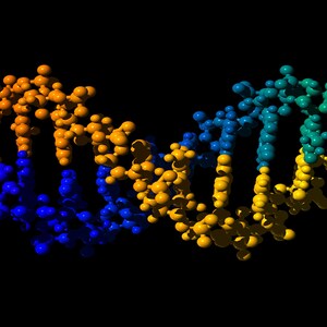 3D Rendering Illustration of a DNA Double Helix Structure Model ...