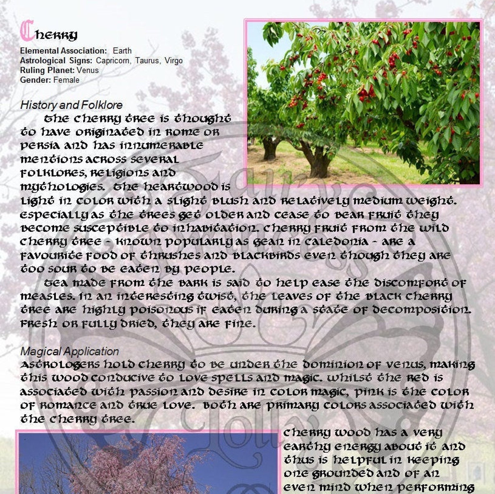 CHERRY Tree Lore Bark Scrolls Instant Download Magic Wand | Etsy