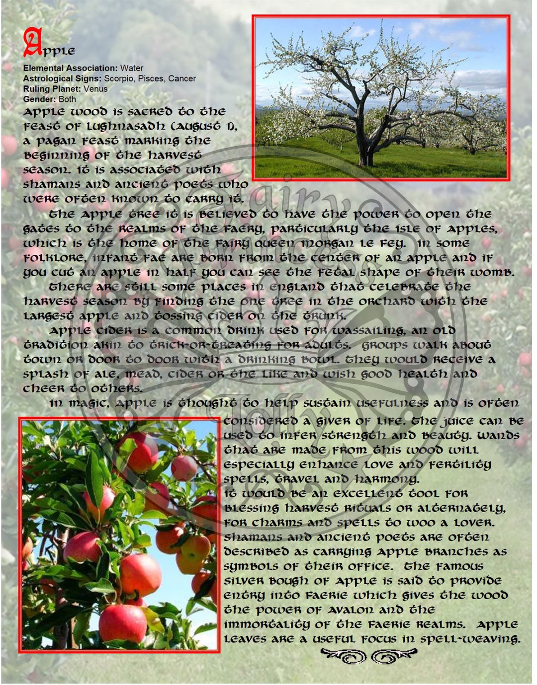 APPLE Tree MAGIC Properties, BOS Instant Download Page, Wand, Bark ...
