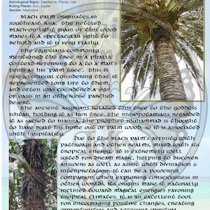 BLACK Palm MAGIC WAND, Positive Change - Opportunity - Spiritual ...