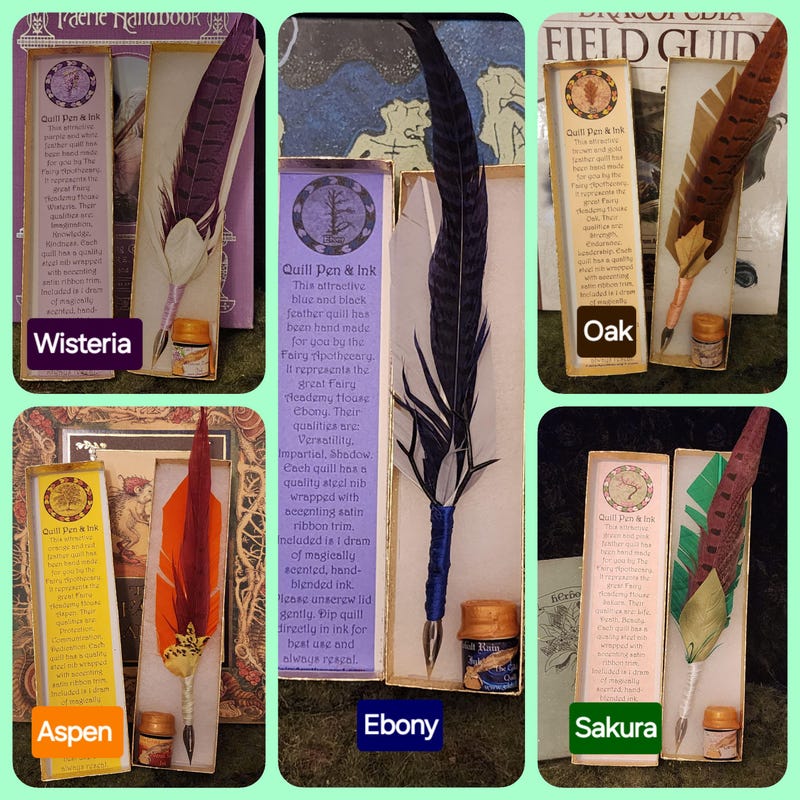 Feather Pen and Ink Set - Etsy