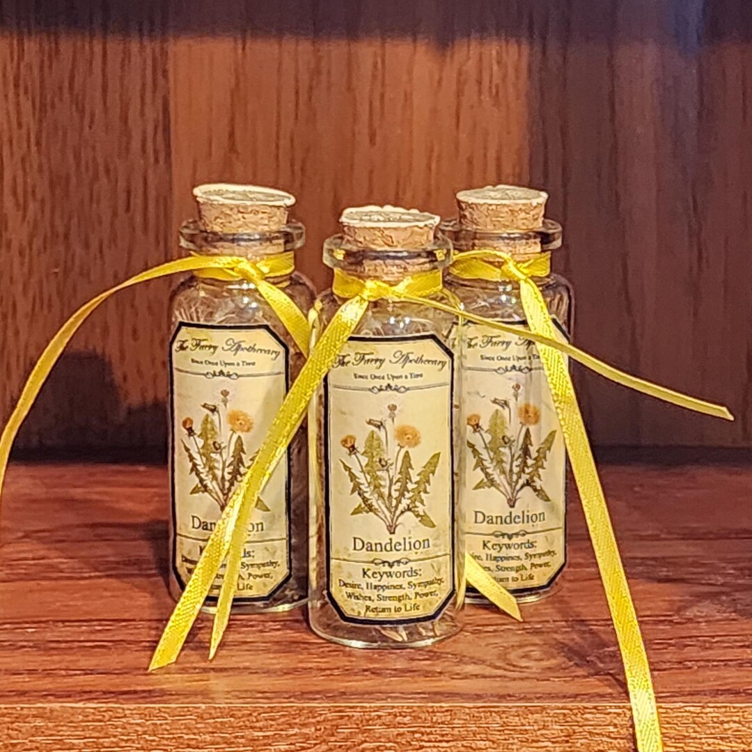DANDELION SEED Fluff FAERIE Magic - Desire - Happiness - Sympathy ...