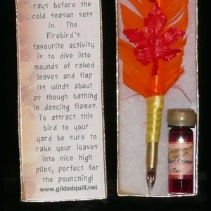 AUTUMN FIREBIRD Fantasy QUILL Dip Pen With Scented Ink Set, Lughnasadh ...