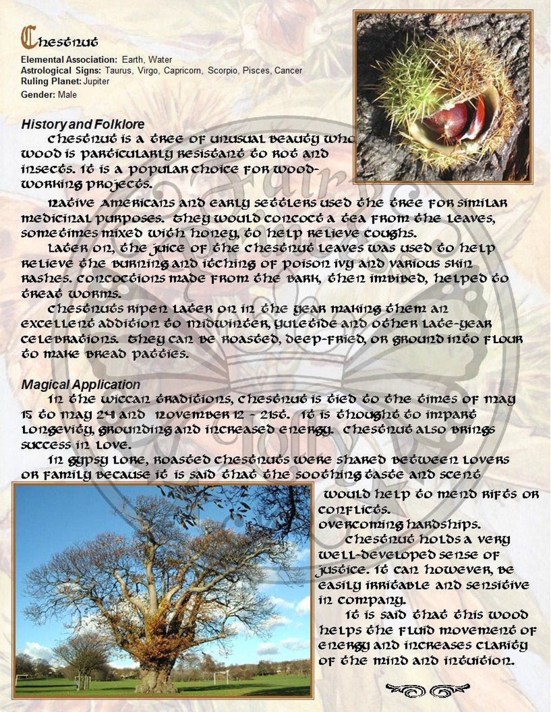 CHESTNUT Tree Lore Bark Scrolls, Instant Download, Magic Wand, Book of ...