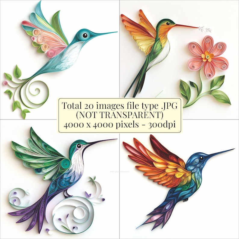 Beautiful Hummingbird Birds Paper Quilling Art Style Consist 20 Images ...