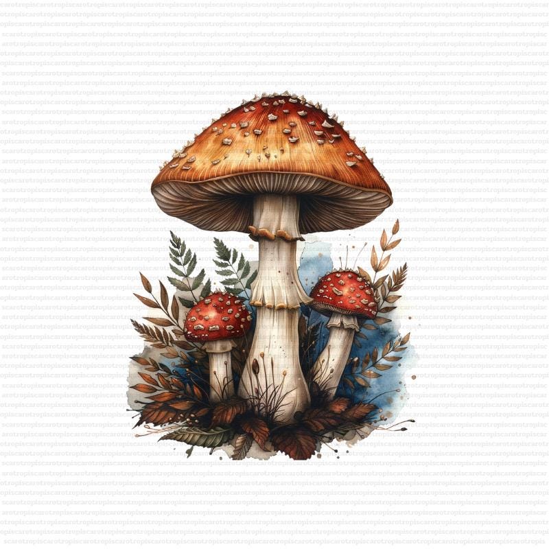 Watercolor Mushrooms Clipart Bundle, Beatiful Forest Graphics, Digital ...