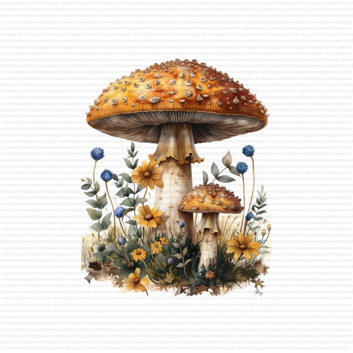 Watercolor Mushrooms Clipart Bundle, Beatiful Forest Graphics, Digital ...