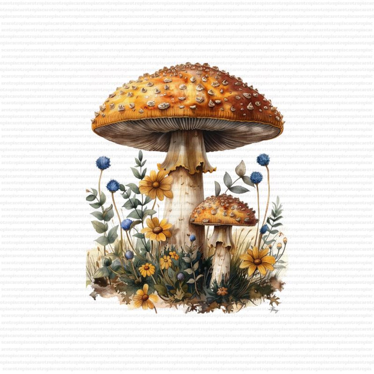 Watercolor Mushrooms Clipart Bundle, Beatiful Forest Graphics, Digital ...