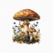 Watercolor Mushrooms Clipart Bundle, Beatiful Forest Graphics, Digital ...