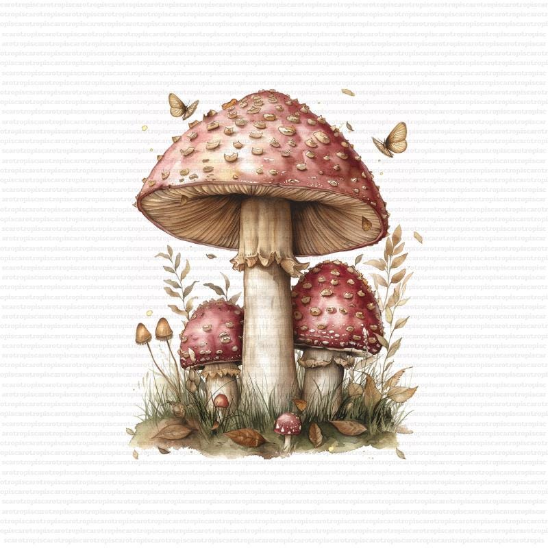 Watercolor Mushrooms Clipart Bundle, Beatiful Forest Graphics, Digital ...