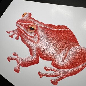 Coqui Art, Frog Art, Puerto Rico Art, Boricua Art, Animal Art, I Love ...