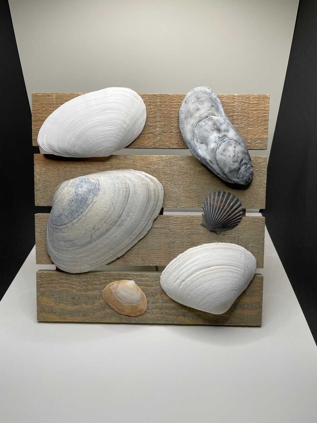 Decorative Pallet With Shells - Etsy