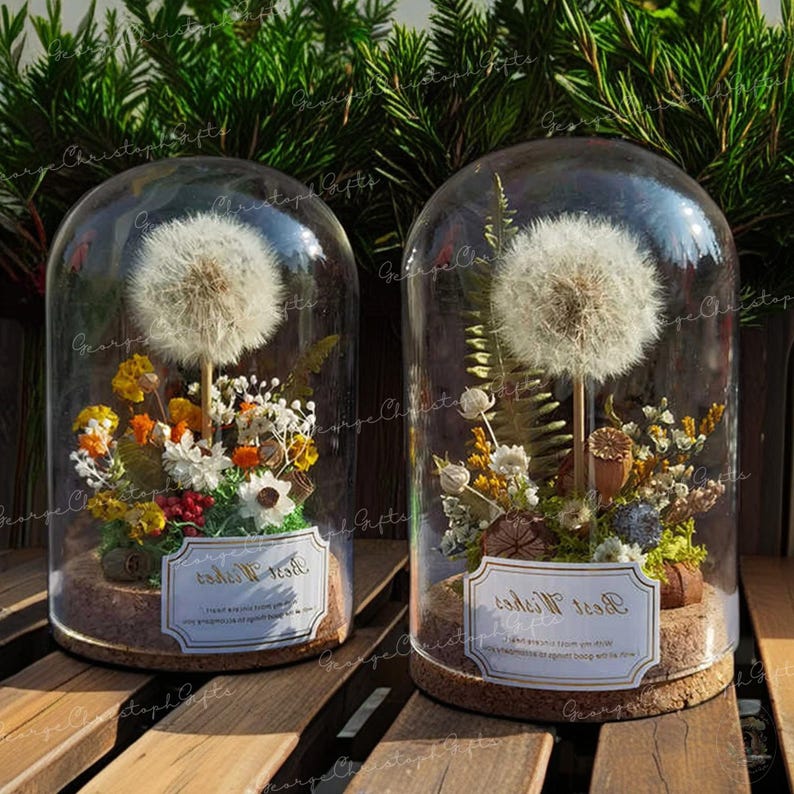 Dandelion Dried Flowers in Glass Cover, Immortal Plant Micro Landscape ...