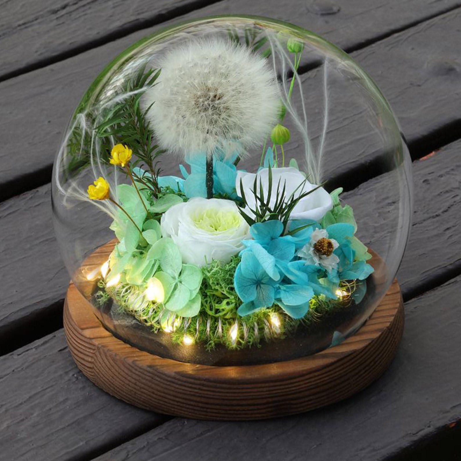 Eternal Flower, Preserved Dandelion Plant Specimen in Glass Cover ...