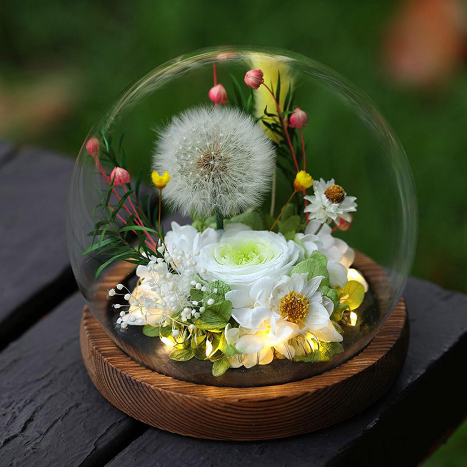 Eternal Flower, Preserved Dandelion Plant Specimen in Glass Cover ...