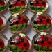 Hand Painted Glass Gems Lady Bugs With a Daisy Ladybugs Ladybug Beetles ...