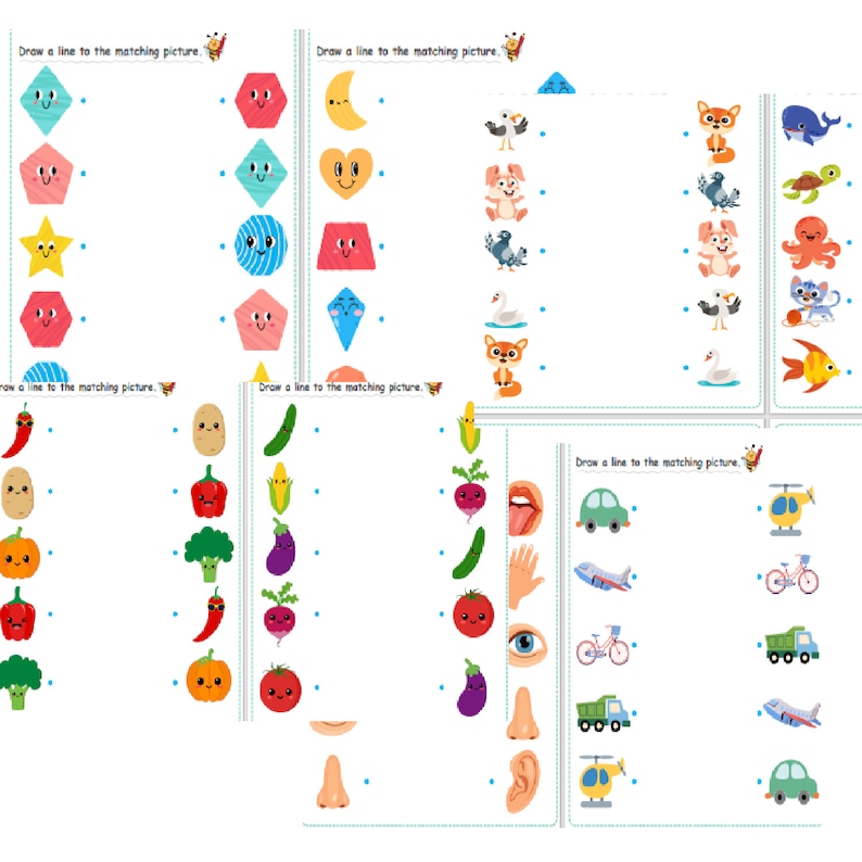 20 Pages Worksheet for Kids, Pre-k, Shadow Matching Activities ...