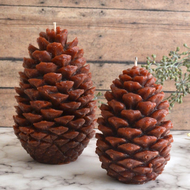 Pine Cone Wedding - Etsy