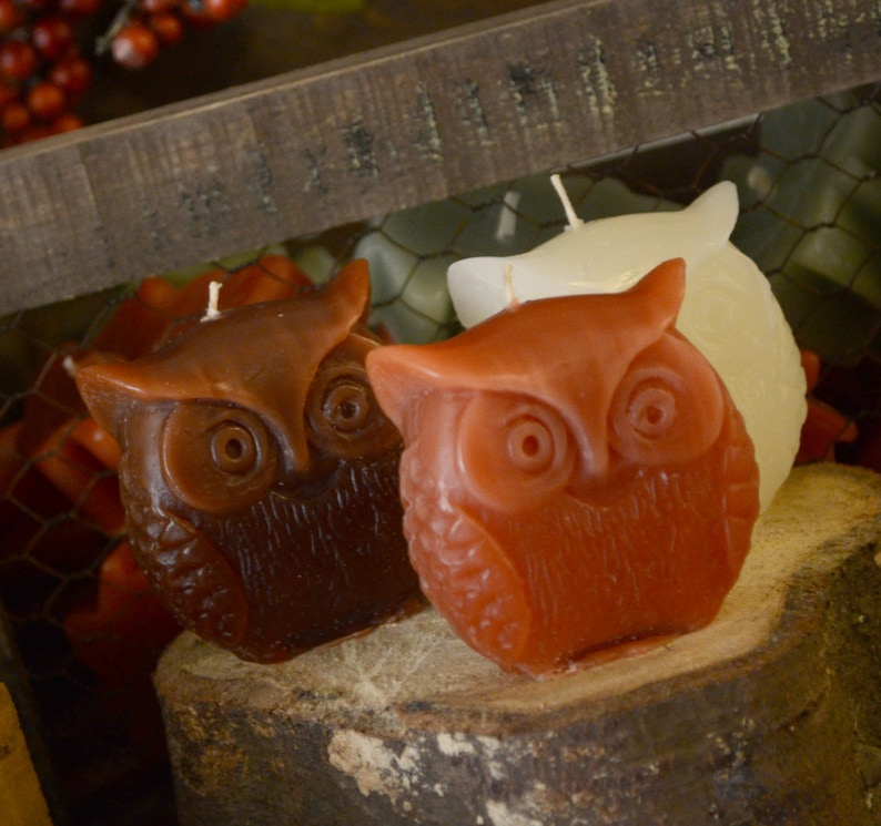 Set of 3 Fall Inspired Owl Candles Brown Ivory and Burnt Orange - Etsy