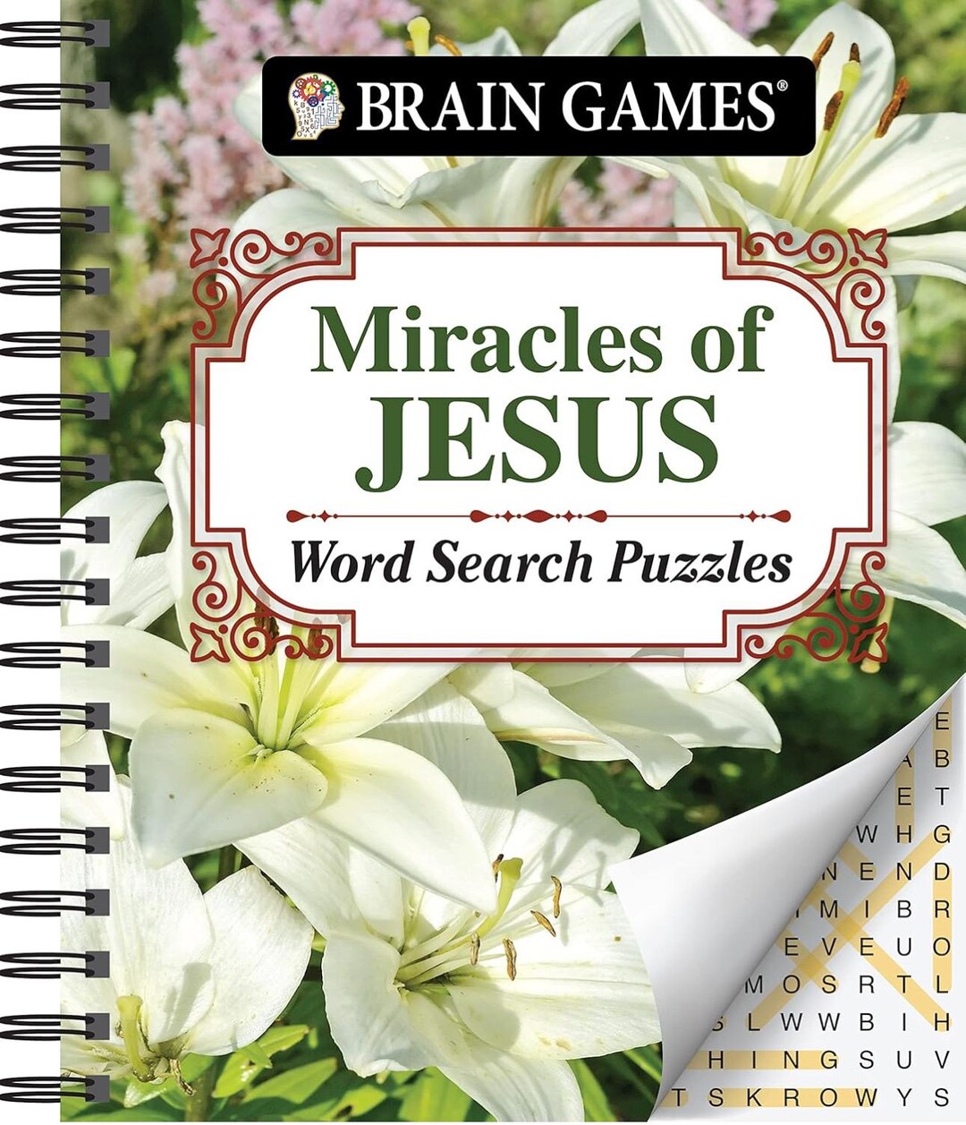 Miracles of Jesus Word Search – Bible Brain Games, Spiral Bound - Etsy ...