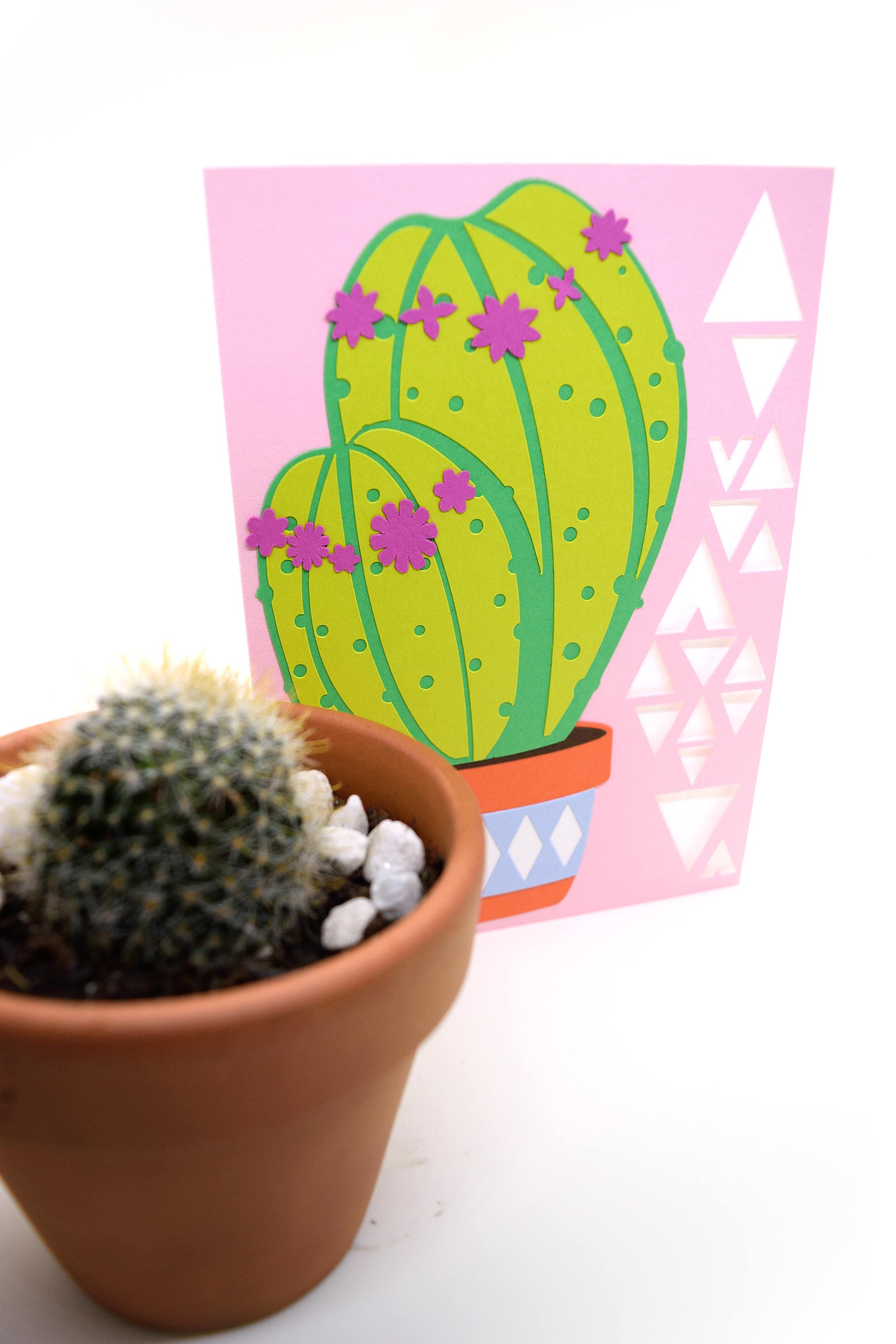 Cactus Card - Etsy