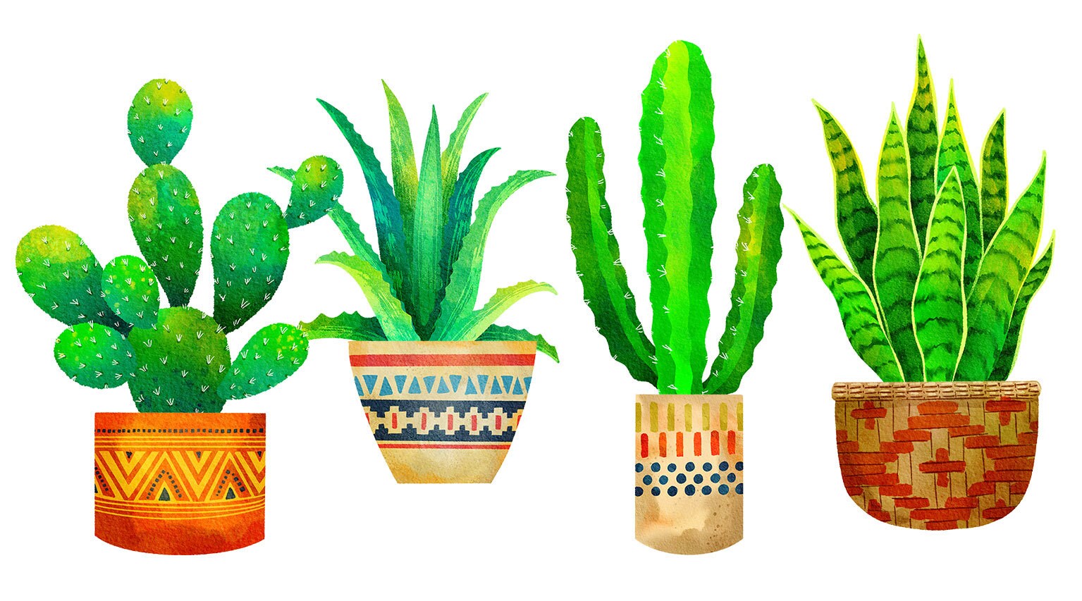 Watercolor succulent cacti clipart set digital watercolor | Etsy