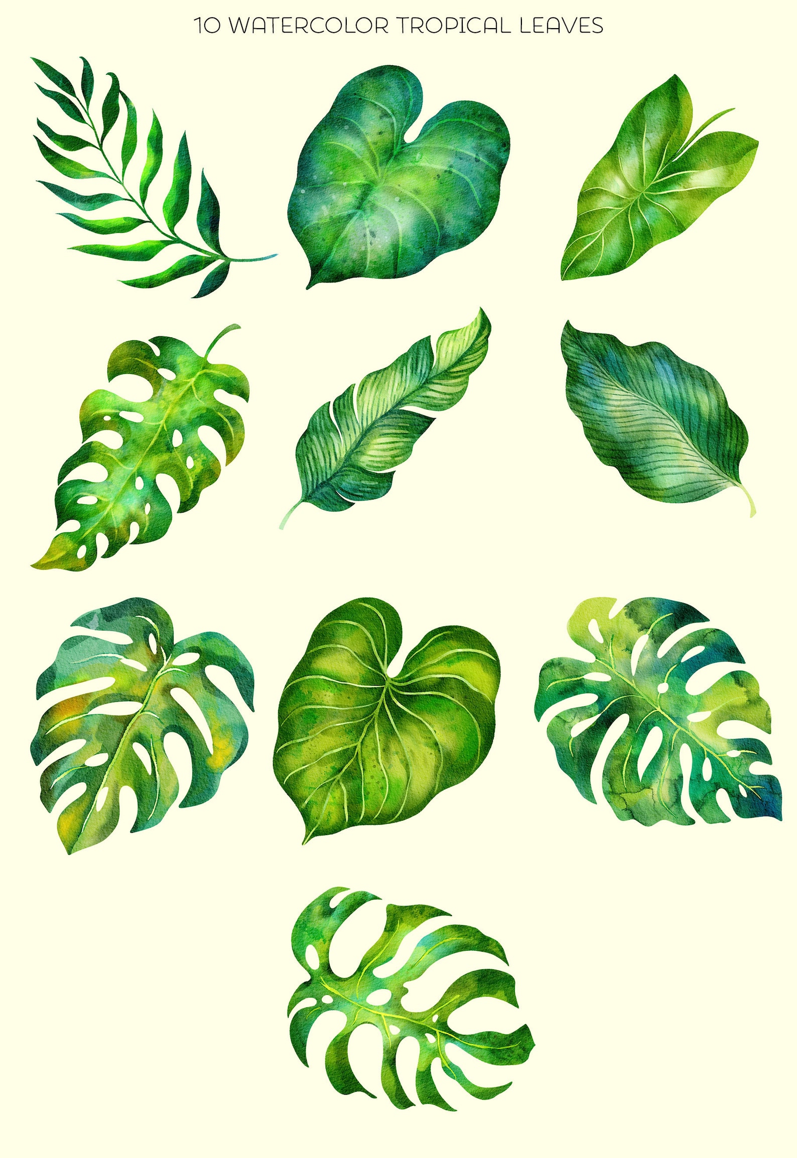 Watercolor Tropical Leaves Clipart Set Digital Watercolor | Etsy